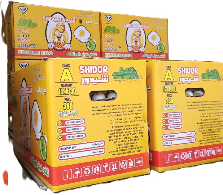 Contact Us - shidor egg